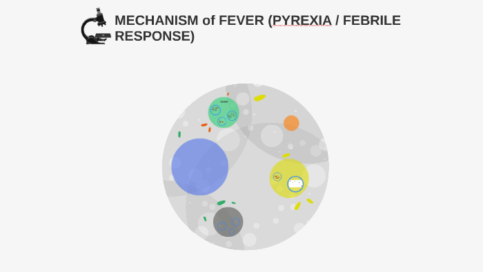 MECHANISM of FEVER (PYREXIA / FEBRILE RESPONSE) by Kirk Stewart on Prezi