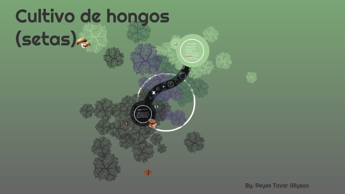 Cultivo de hongos by Ally Reyes on Prezi