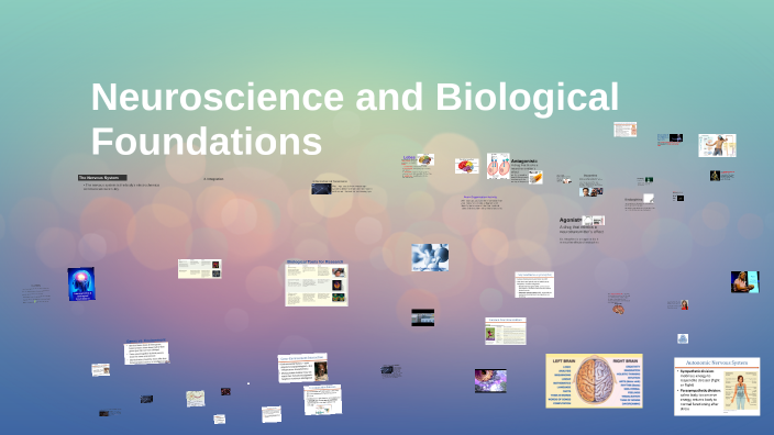 Neuroscience and Biological Foundations by Ed Rauscher on Prezi