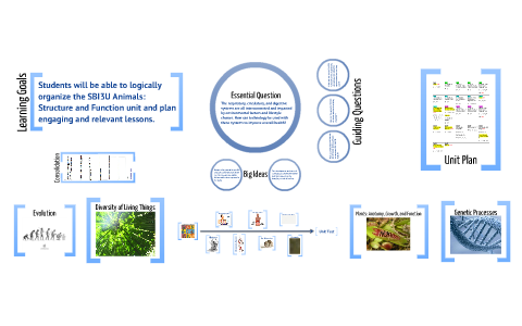 SBI3U - Animals: Structures and Function by Michael Law on Prezi