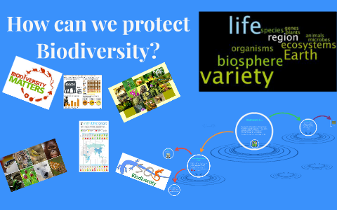 How can we protect Biodiversity? by cristina estrada on Prezi