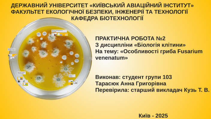 Особливості гриба Fusarium venenatum by Анна Тарасюк on Prezi