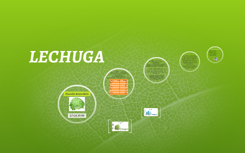 LECHUGA by jennifer ramos on Prezi