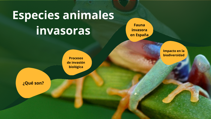 Especies animales invasoras by María Carrillo Díaz on Prezi