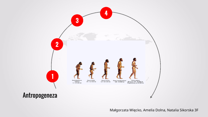 antropogeneza by Gosia Wiecko on Prezi