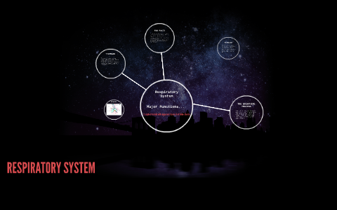 RESPIRATORY SYSTEM by Clara Hibbs on Prezi