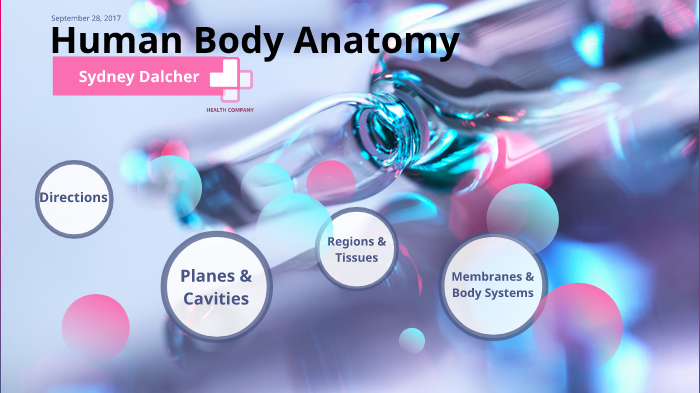 Human Body Scrapbook Project- Sydney Dalcher by Sydney Dalcher on Prezi