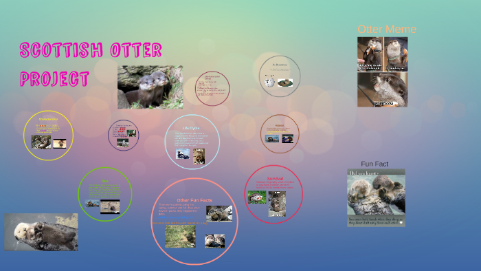 Scottish Otter by annie marie on Prezi