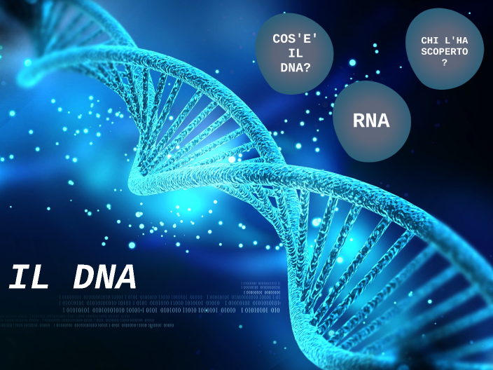 DNA by anastasia rispo on Prezi