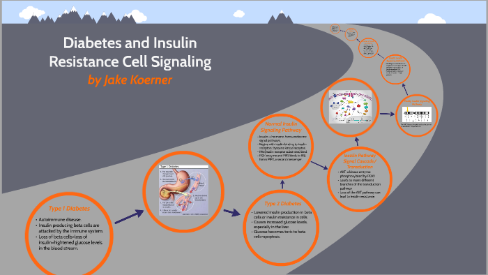 Diabetes and Insulin Cell Signaling Pathways by Jake Koerner on Prezi