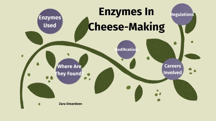 Enzymes in Cheese-Making by Zara Safiya on Prezi