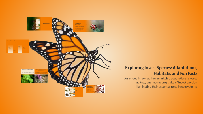 Exploring Insect Species: Adaptations, Habitats, and Fun Facts by Ace ...