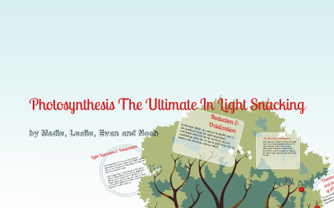 Photosynthisis by Evan Salter on Prezi