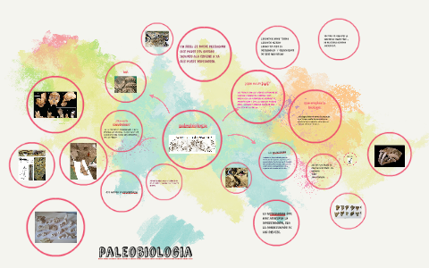 paleobiologia by bibiana neri on Prezi