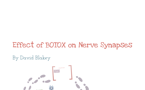 The Effects of BOTOX on Nerve Synapses by David Blakey on Prezi