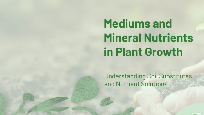 Mediums and Mineral Nutrients in Plant Growth by Concordia Greenhouse ...