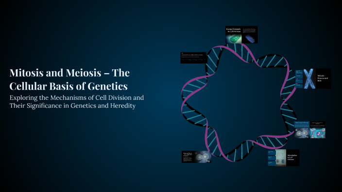 Mitosis and Meiosis – The Cellular Basis of Genetics by SAHIL W on Prezi