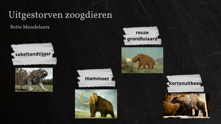 uitgestorven zoogdieren by Bette Mondelaers on Prezi