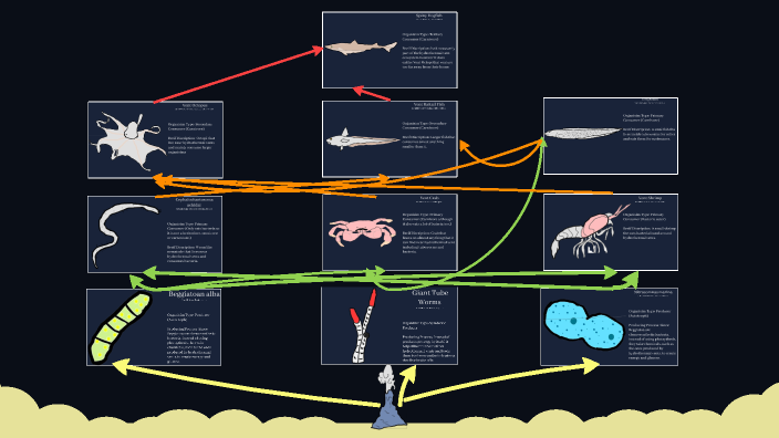 Hydrothermal Vent Food Web by Liam Simonetti on Prezi