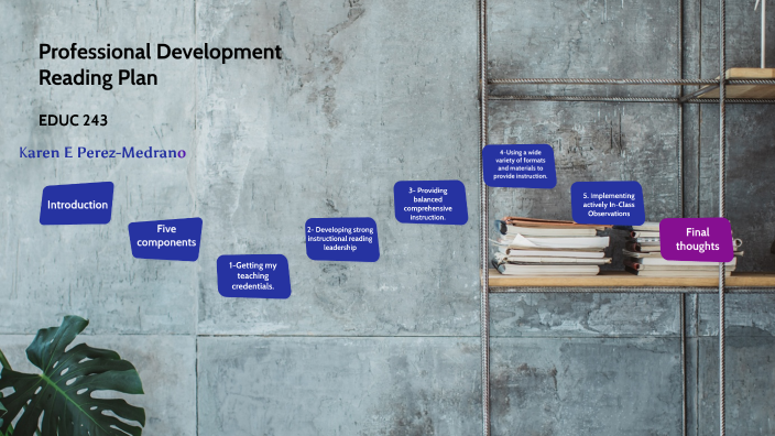 Professional Development Reading Plan by on Prezi
