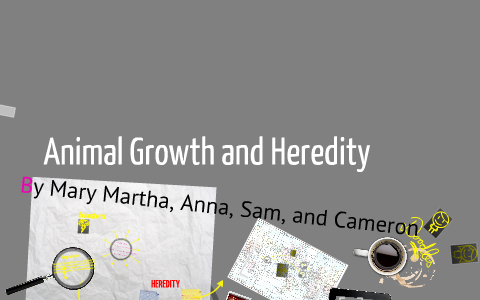 Animal Growth and Heredity by mary martha willson on Prezi
