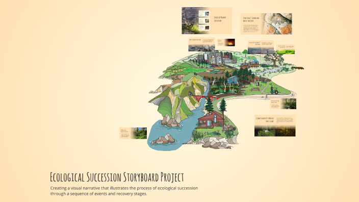 Ecological Succession Storyboard Project by Sofía victoria Castellano ...