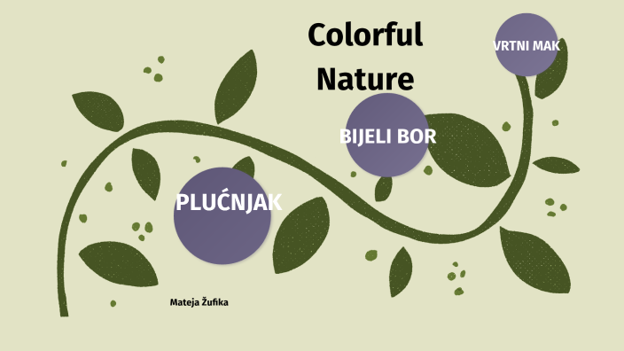 PLUĆNJAK - BIJELI BOR - VRTNI MAK by Mateja Žufika on Prezi