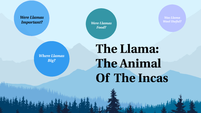 THE LLAMA: THE ANIMAL OF THE INCAS by Brady Golan on Prezi
