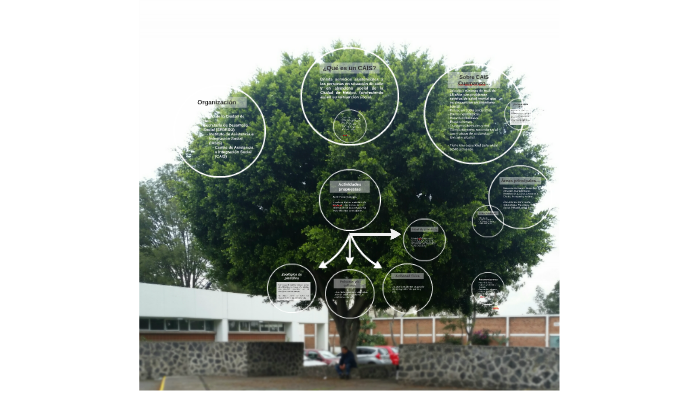 ¿Qué es un CAIS? by La Rohe on Prezi