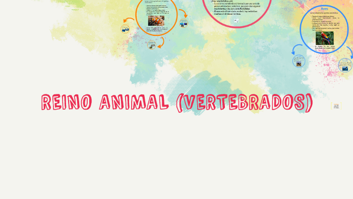 Reino animal (vertebrados) Blanca, Isabel, Sona y Aitana 1ºB bto by ...