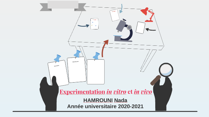 Experimentation in vitro et in vivo by nada HAMROUNI on Prezi