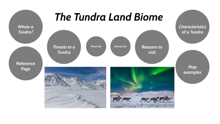 Tundra project science by Samuel Castro on Prezi