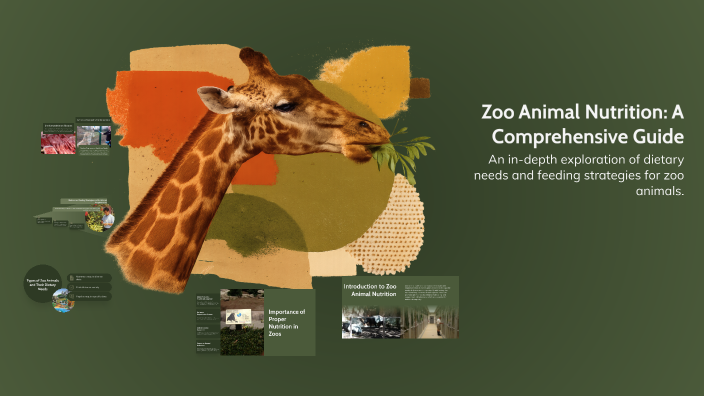 Zoo Animal Nutrition: A Comprehensive Guide by Sun Rays on Prezi