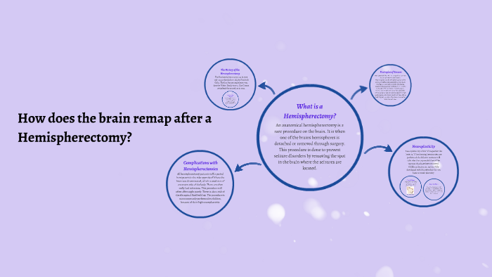 How does the brain remap after a hemispherectomy? by Jackson Ehlert on ...