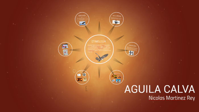 AGUILA CALVA by nicolas martinez rey on Prezi