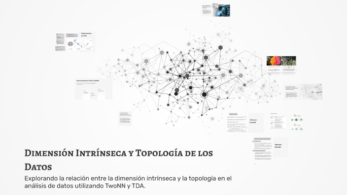 Dimensión Intrínseca y Topología de los Datos by Mendoza González ...