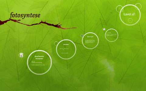 fotosyntese by Mathilde Houe on Prezi