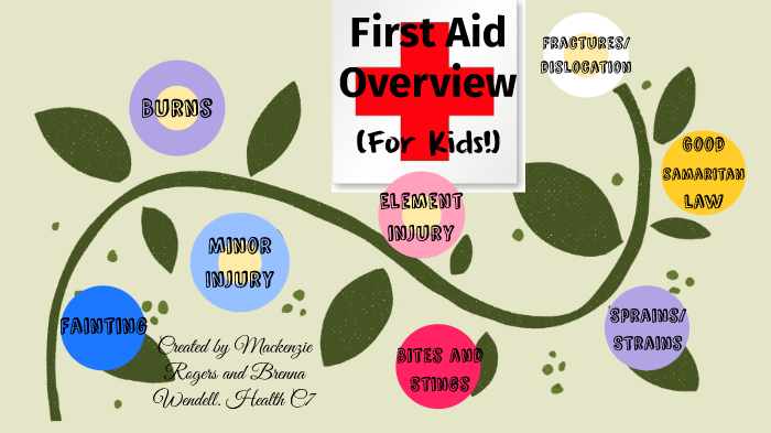 First Aid Overview (for kids) by Student Brenna Wendell on Prezi