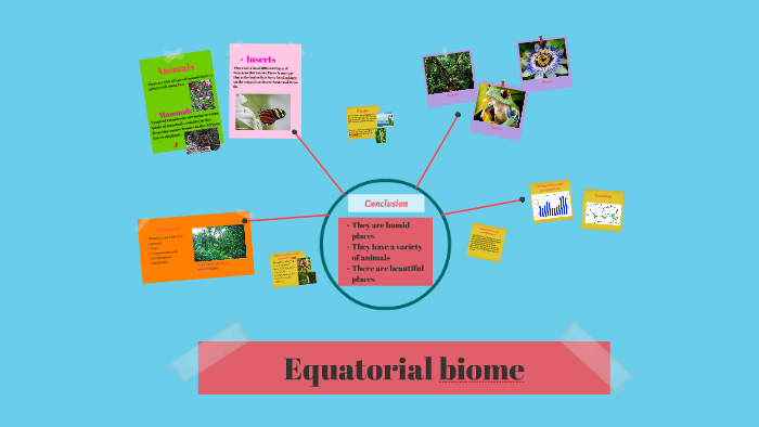 Equatorial biome by Omayra Preciado on Prezi