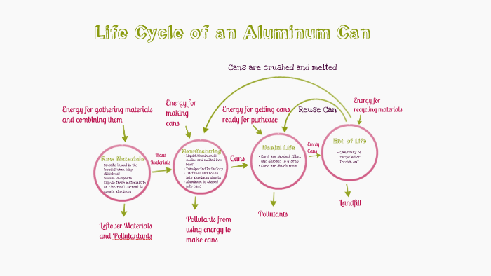 Science Life Cycle by Rachel Markowitz on Prezi