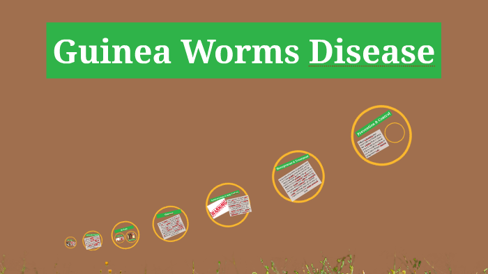Guinea Worms Disease by Kylie Taylor on Prezi