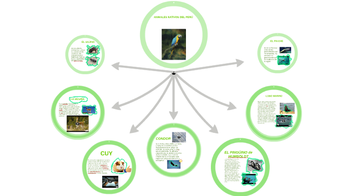 ANIMALES NATIVOS DEL PERÚ by Rodrigo Mestanza Farje on Prezi