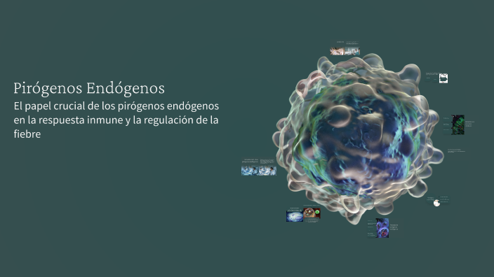 Pirógenos Endógenos by Dayana on Prezi