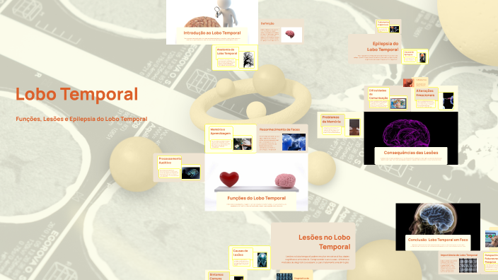 Lobo Temporal by helena bicho on Prezi