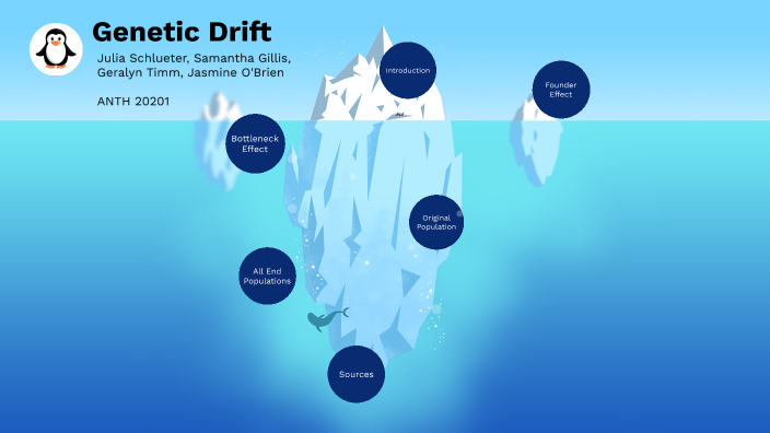 Genetic Drift Infographic- Gillis, Schlueter, Timm, and O'Brien by ...