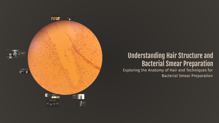 Understanding Hair Structure and Bacterial Smear Preparation by don't ...