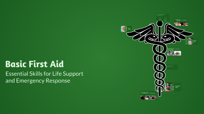 Basic First Aid by Archie Robert Alarcon on Prezi