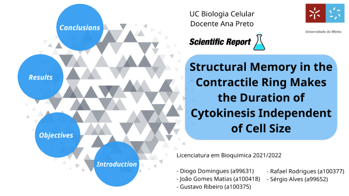 Structural Memory in the Contractile Ring by João M. on Prezi