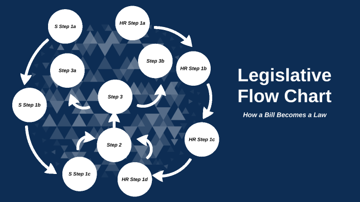 Legislative Flow Chart by Madisen Dura on Prezi