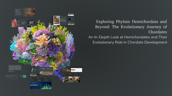 Exploring Phylum Hemichordata and Beyond: The Evolutionary Journey of ...